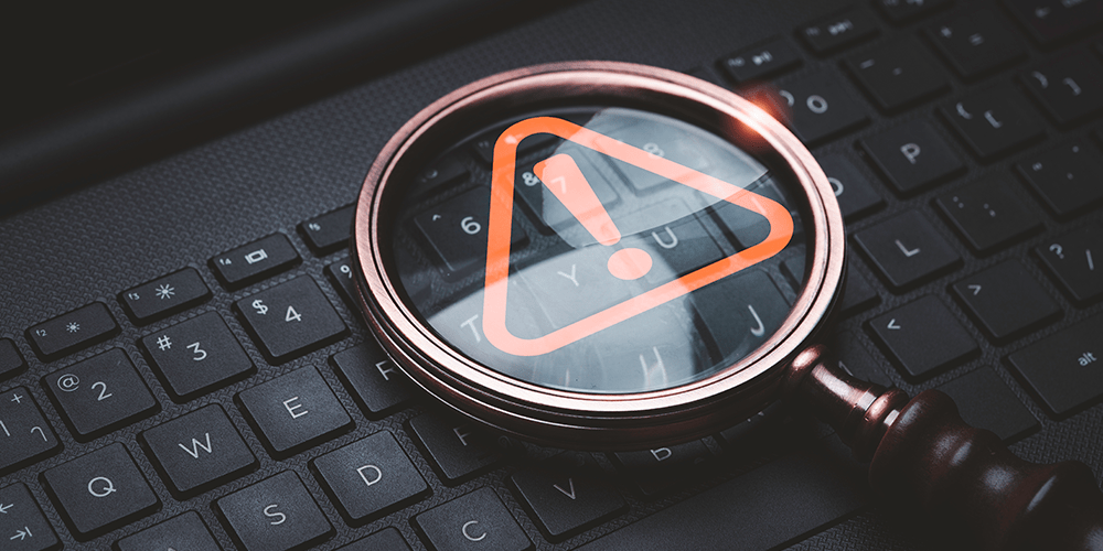 Cybersource Migration – Agivant